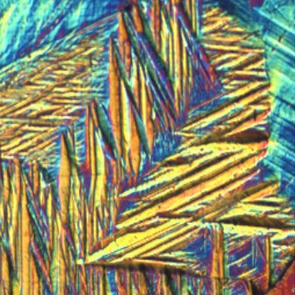 Research – Prof. Wendy Crone – UW–Madison