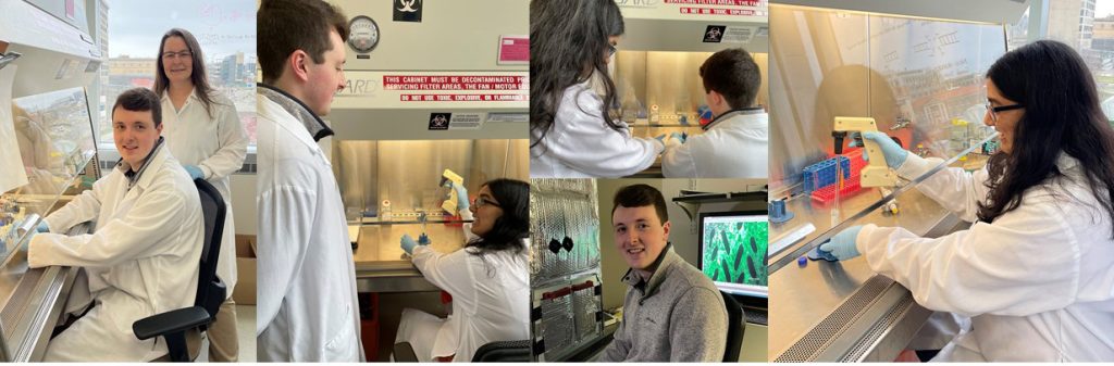 Current Lab Members – Prof. Wendy Crone – UW–Madison